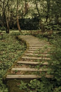 43 Unique Wooden Walkway Ideas for Your Garden, Backyard, and Outdoor ...