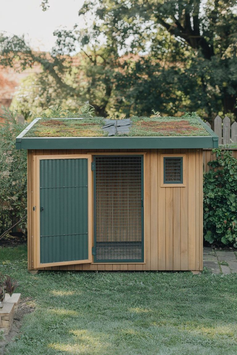 40 Best Outdoor Dog Kennel Ideas 2025: Cheap, DIY, Brick, Raised ...